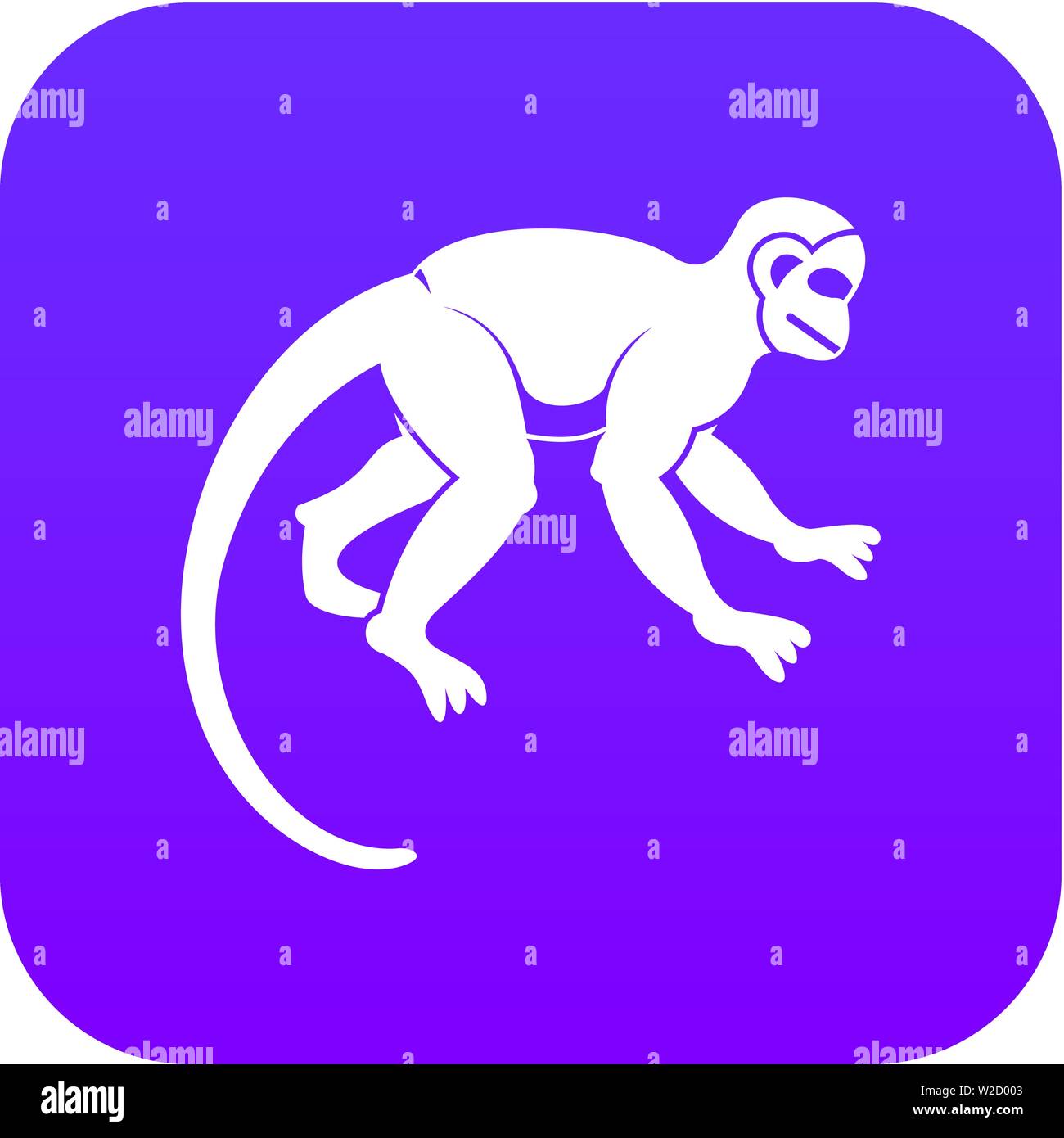Capuchin monkey icon digital purple Stock Vector Image & Art - Alamy