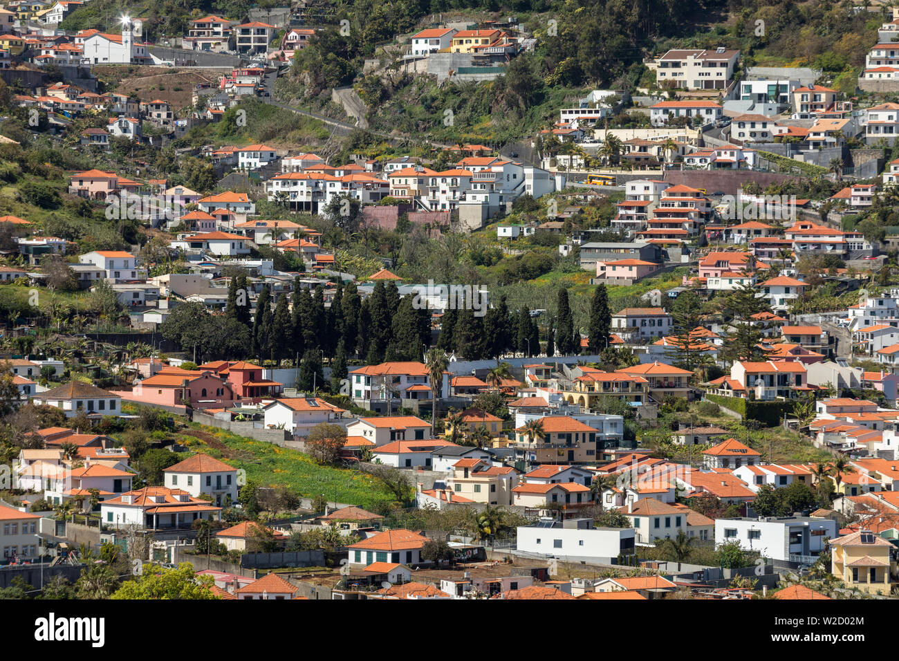 Typical terrace architecture on the steep slopes of Funchal on the ...