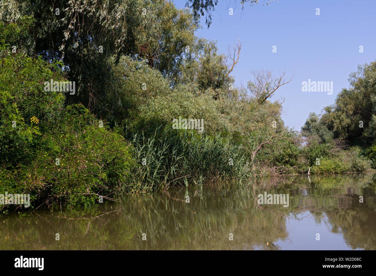 Swampy delta hi-res stock photography and images - Alamy