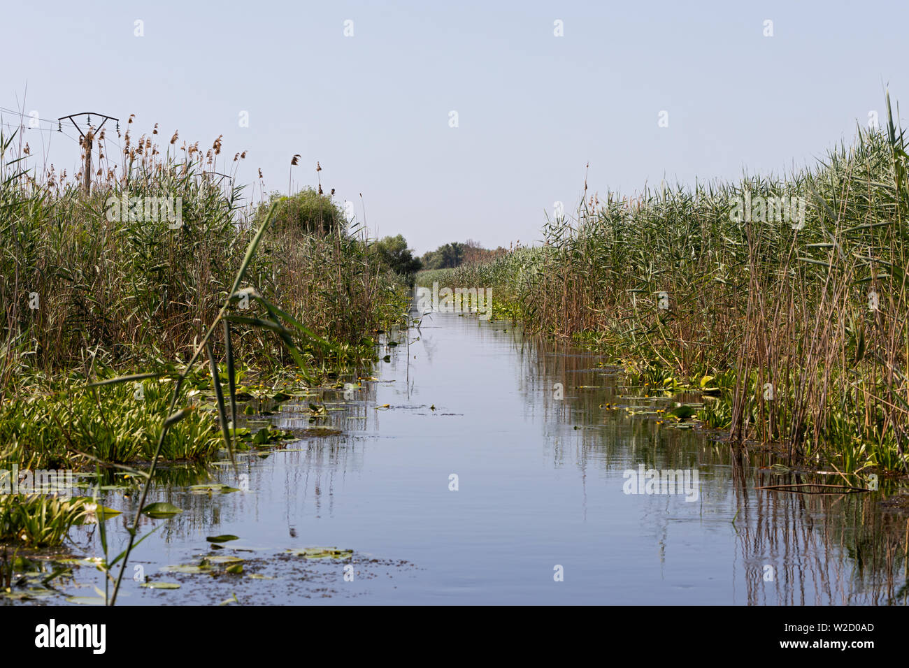 Picture of the biosphere of the Danube Delta in Romania, protected ...