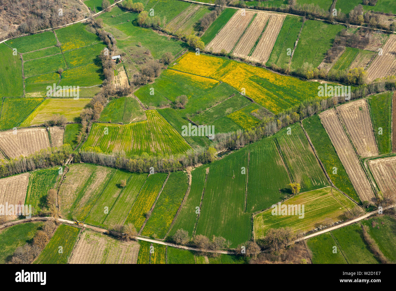 Flower fields aerial hi-res stock photography and images - Alamy