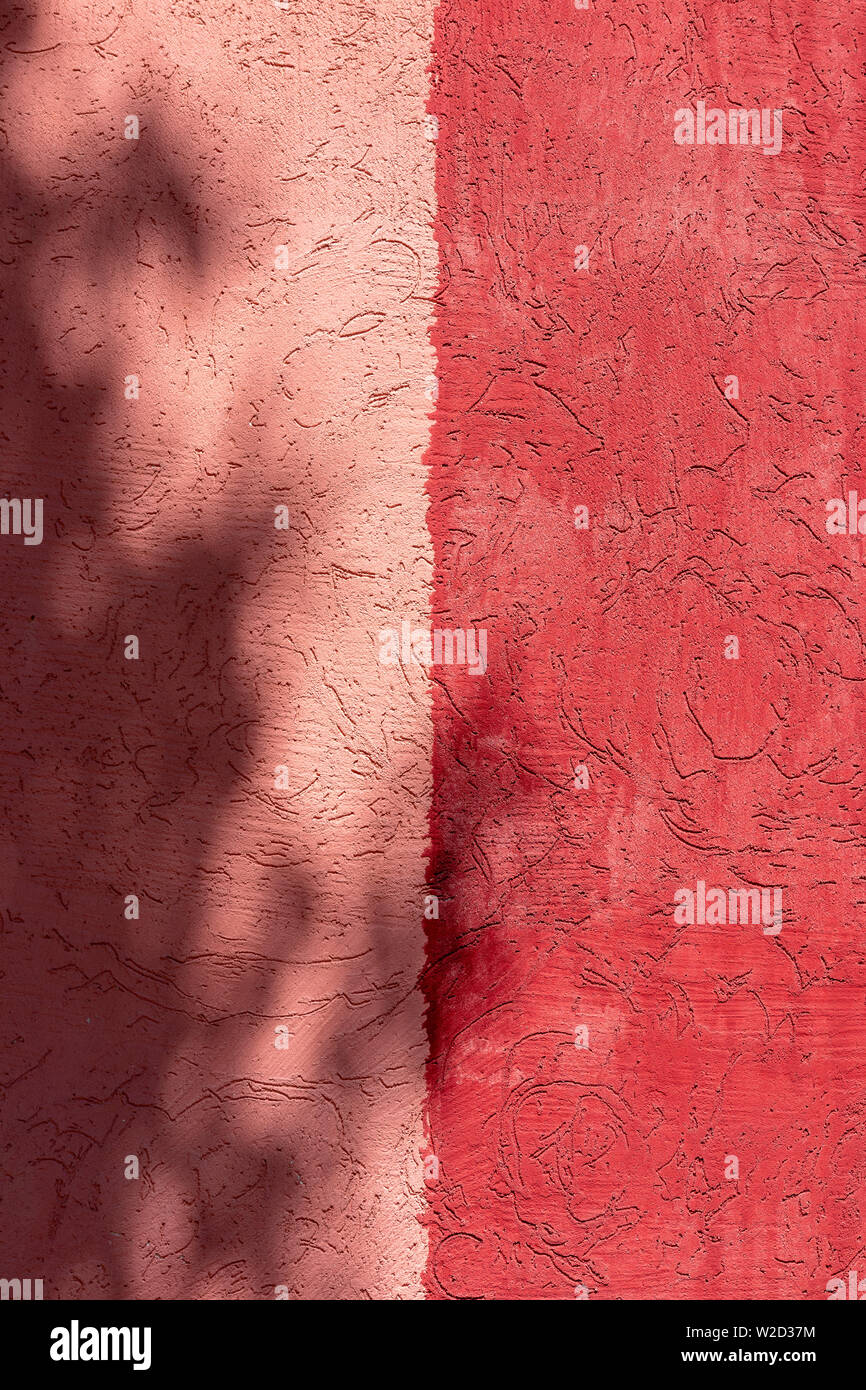 Concrete wall background texture tree shadow Stock Photo - Alamy