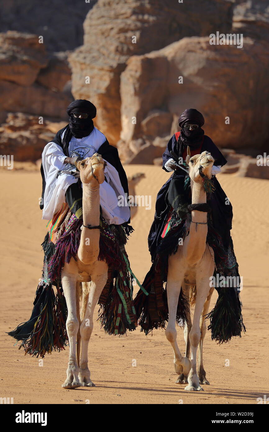 Bedouin rides on camel through sandy desert Stock Photo - Alamy