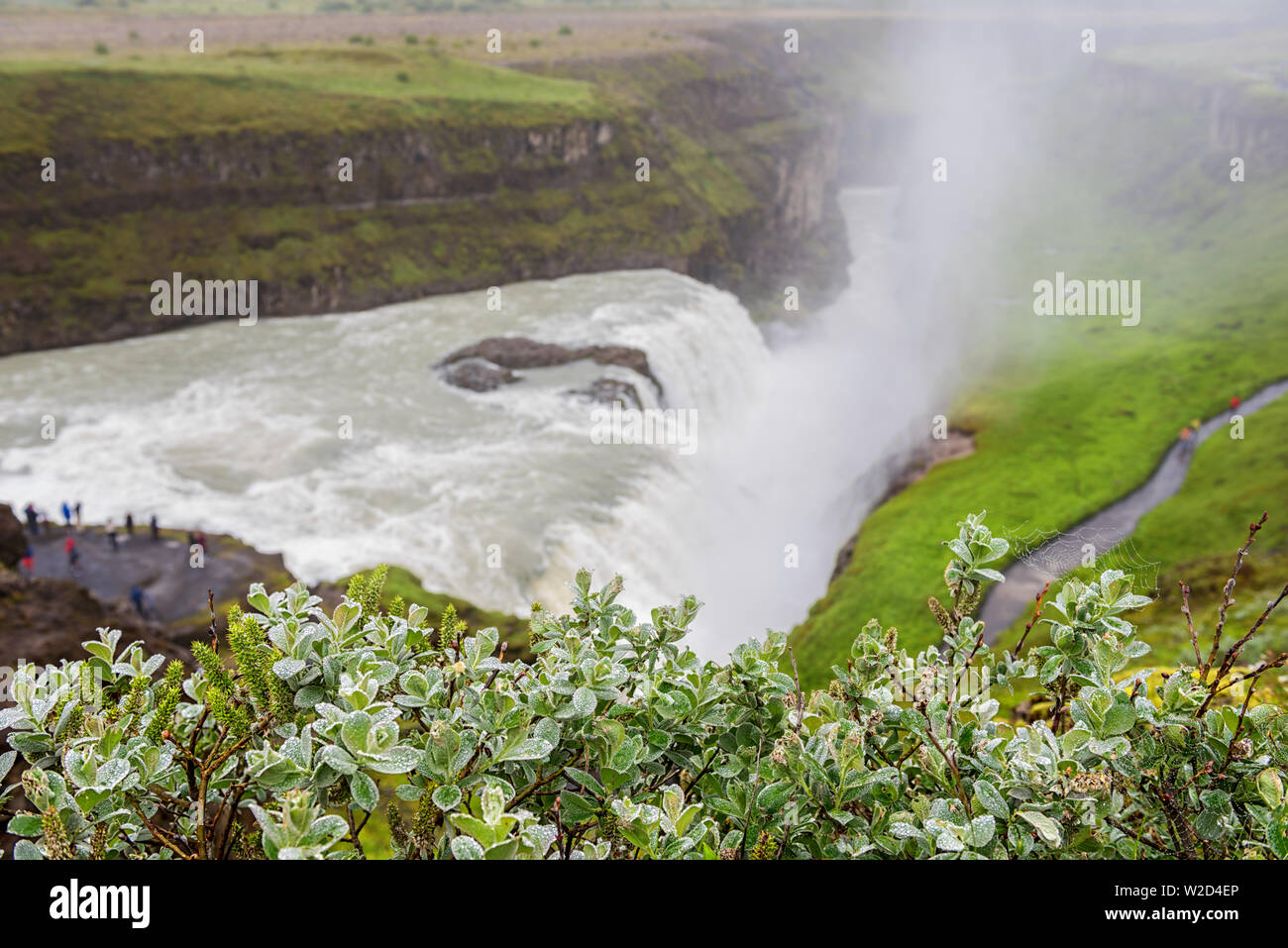Gullfoss waterfall, amazing nature, Icelandic summer landscape. Scenic ...