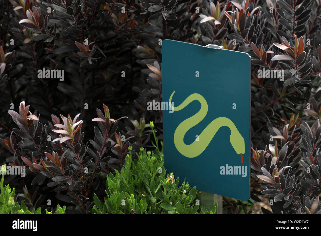 Warning of snakes Stock Photo - Alamy