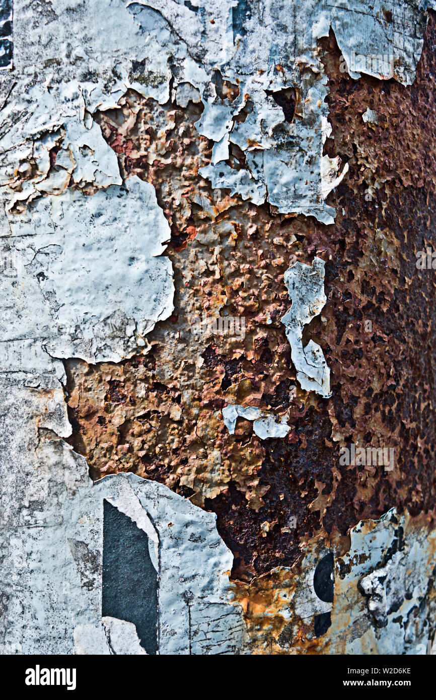 Damaged birch tree bark hi-res stock photography and images - Alamy