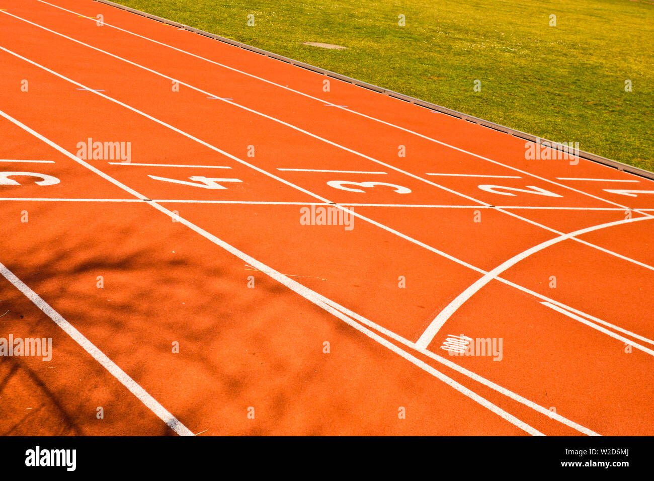 detail of a running track with numbers and lanes Stock Photo - Alamy