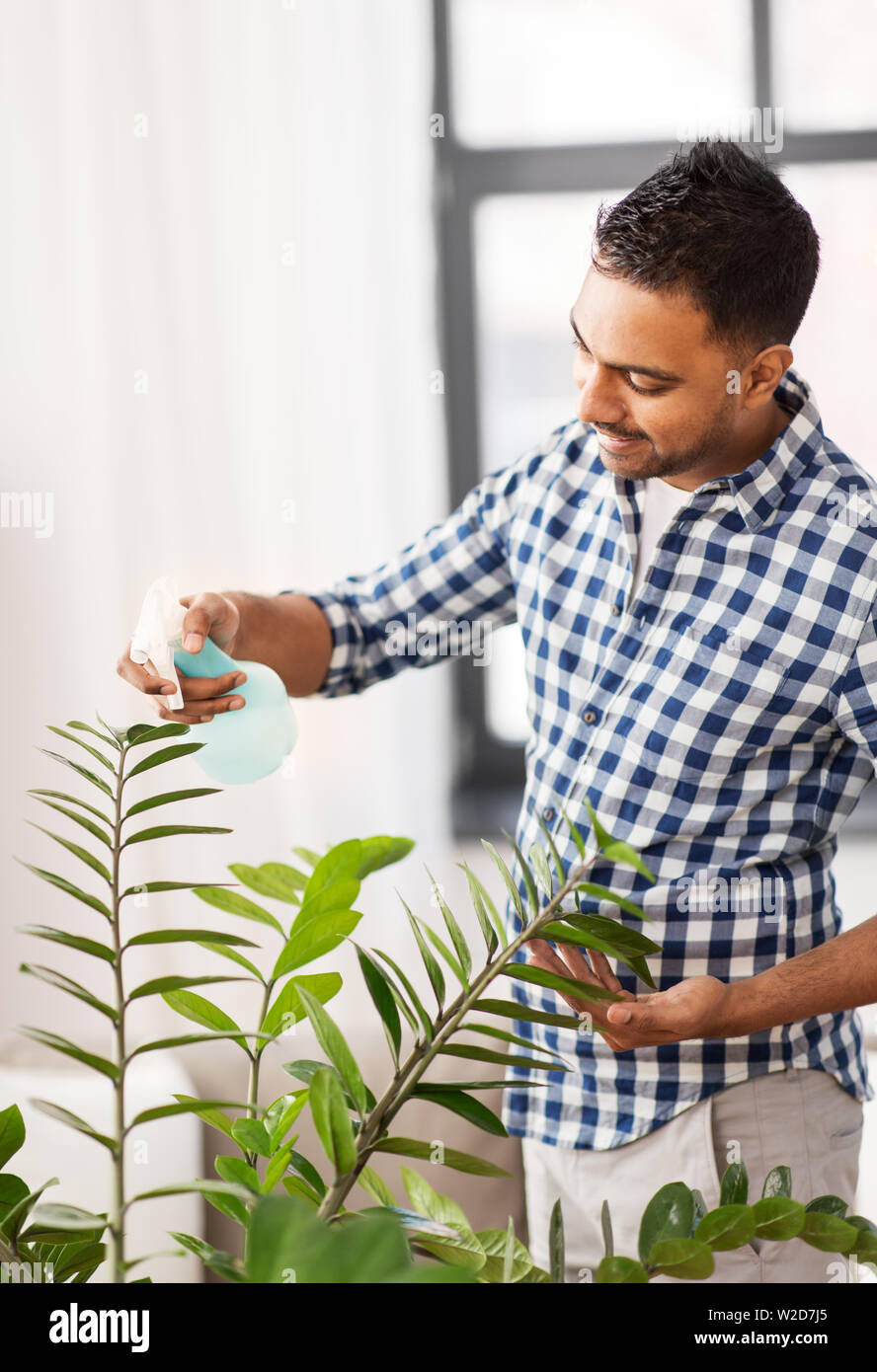 Indian man spraying houseplant water hi-res stock photography and ...