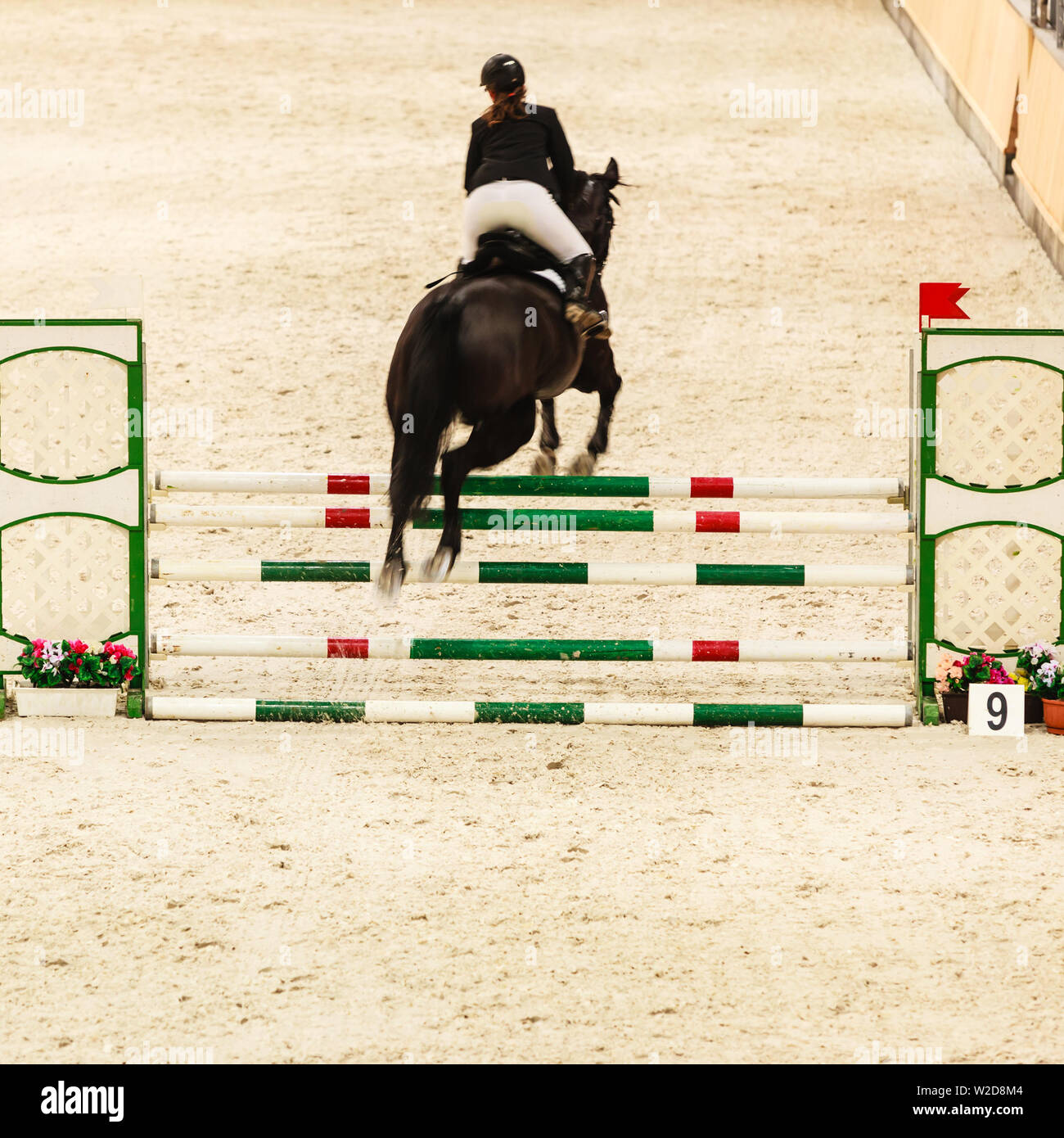 Equitation. Riding competition. Show jumping, horse and rider over jump ...