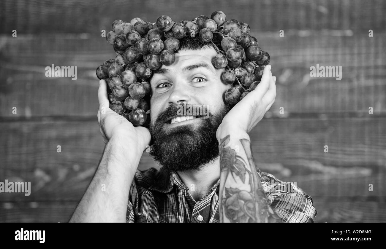 Winery cheerful worker. Farmer with grapes. Winery concept. Man with ...