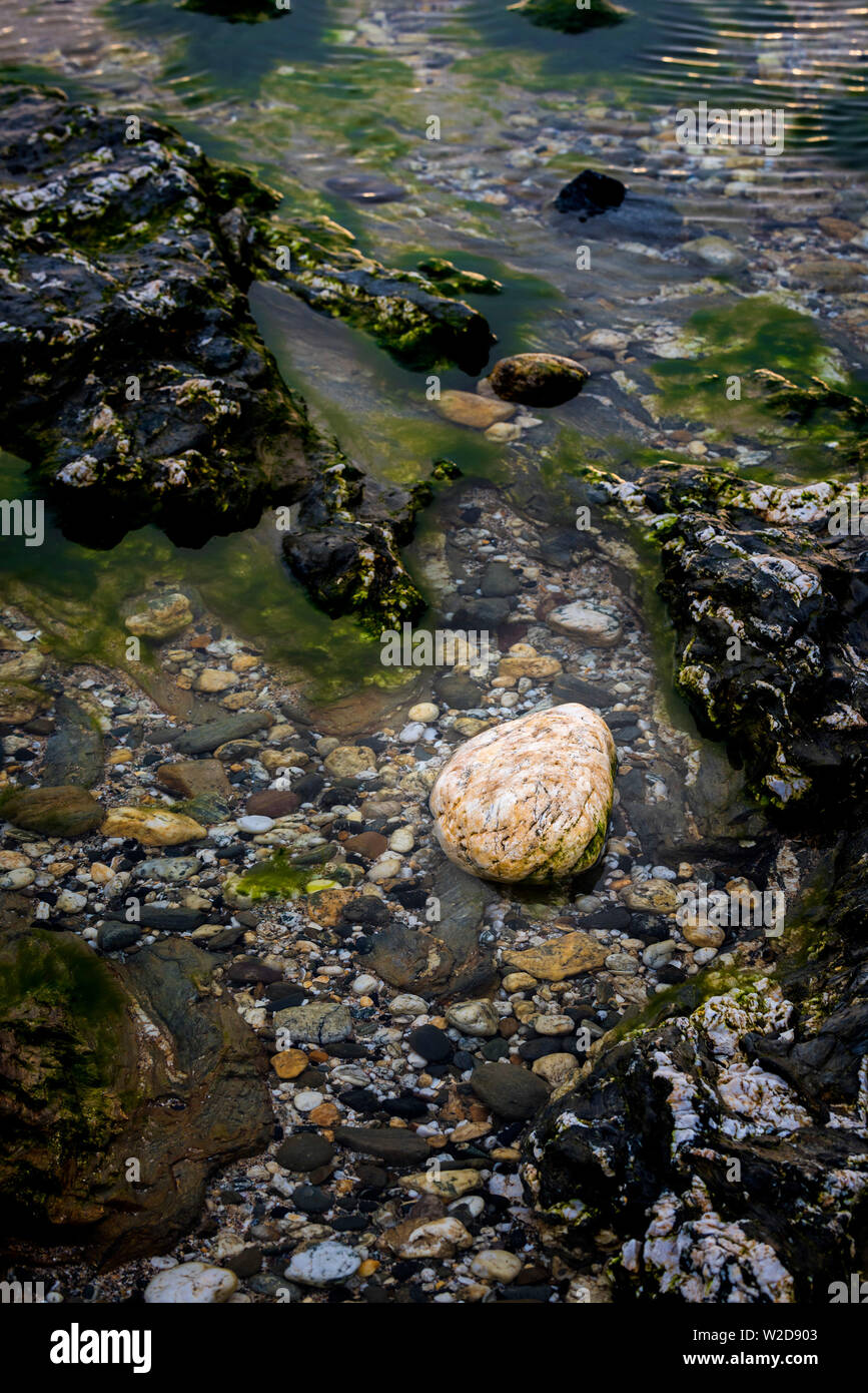 A rounded rock in a rock pool at low tide on Fistral Beach in Newquay ...
