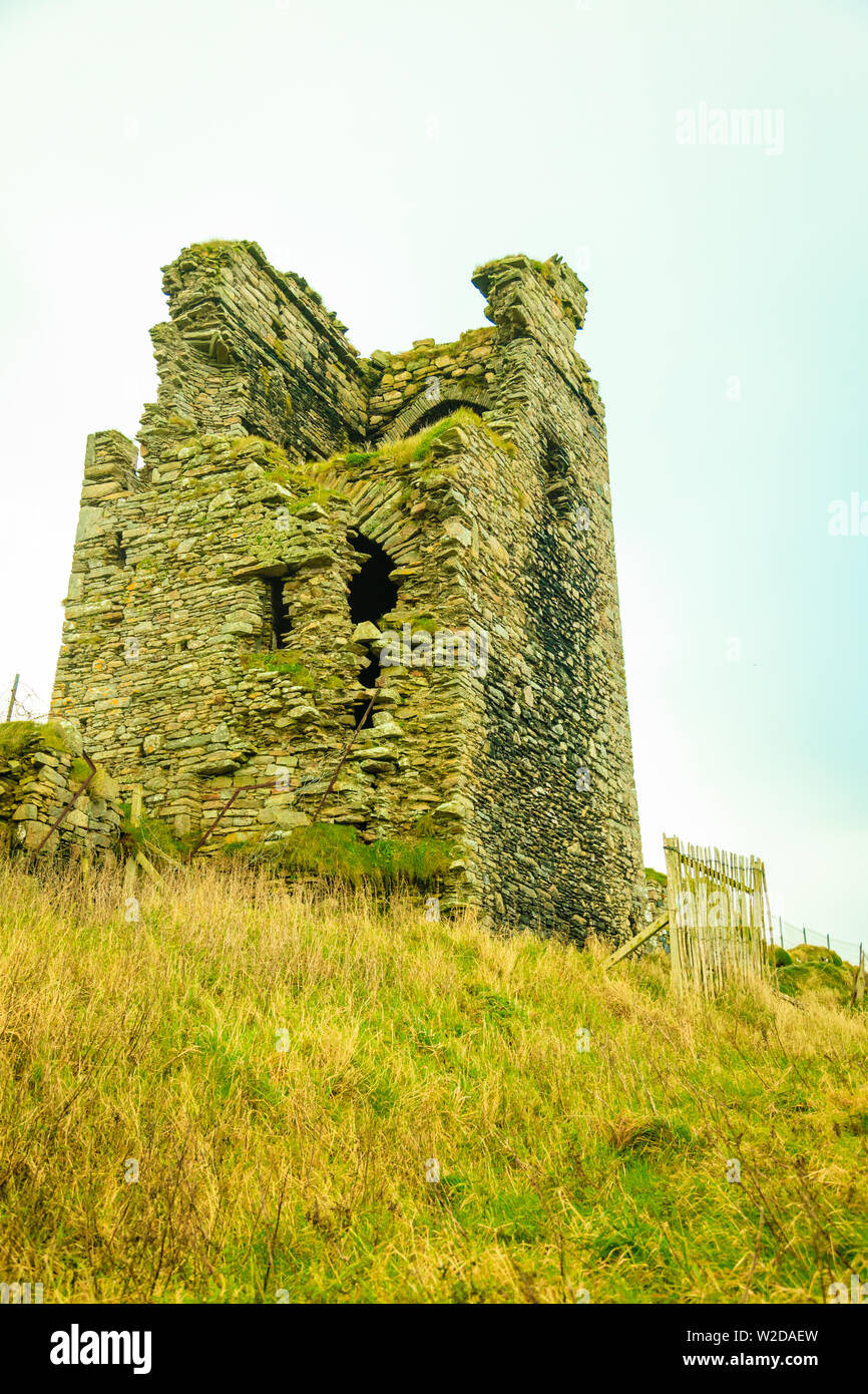 Irish Castle Landscape