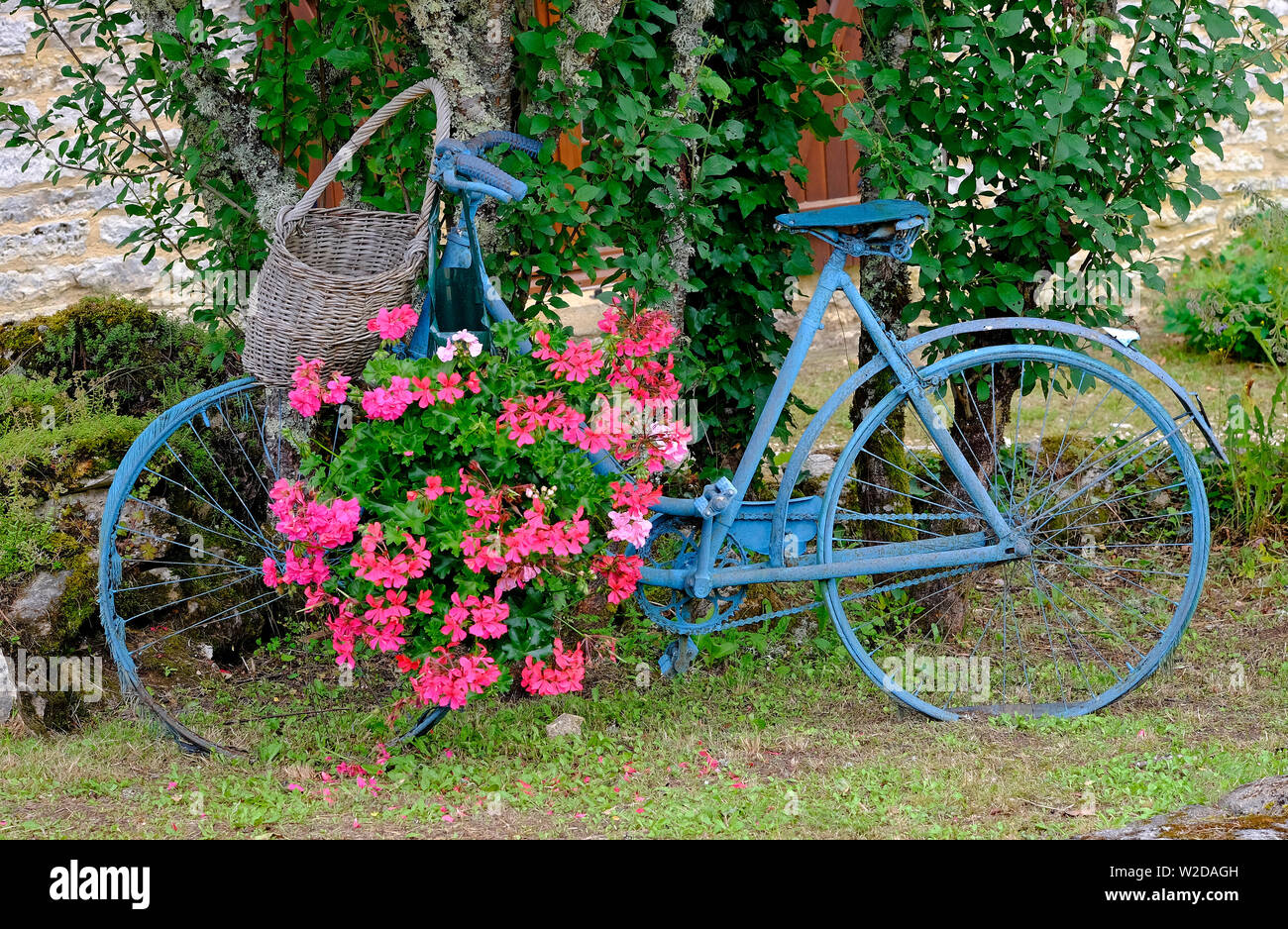 French bicycle basket hi-res stock photography and images - Alamy