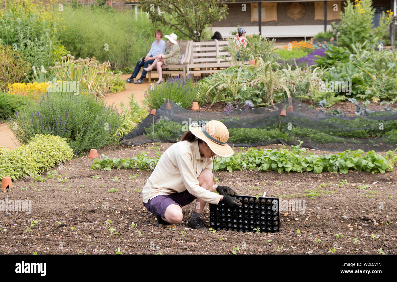 Gardener woman hat over hi-res stock photography and images - Alamy