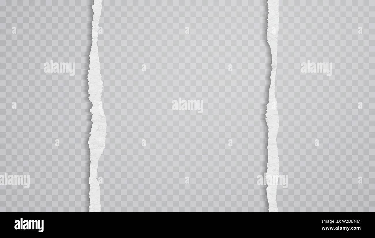 Torn white vertical paper strips are on squared background. Vector ...