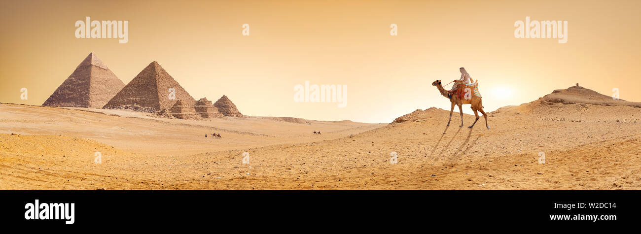 Camel in sandy desert near pyramids at sunset Stock Photo - Alamy