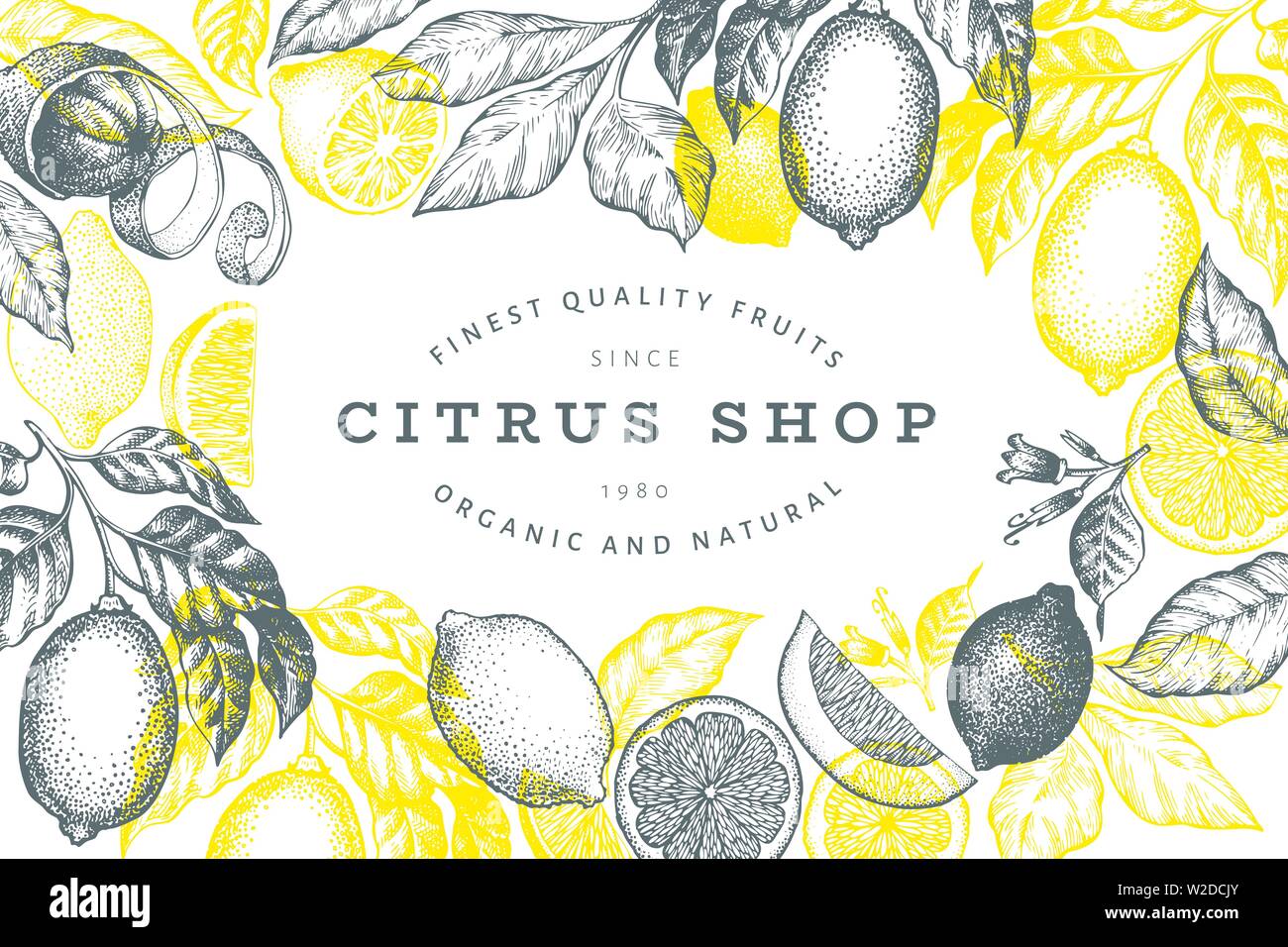 Lemon tree banner template. Hand drawn vector fruit illustration ...