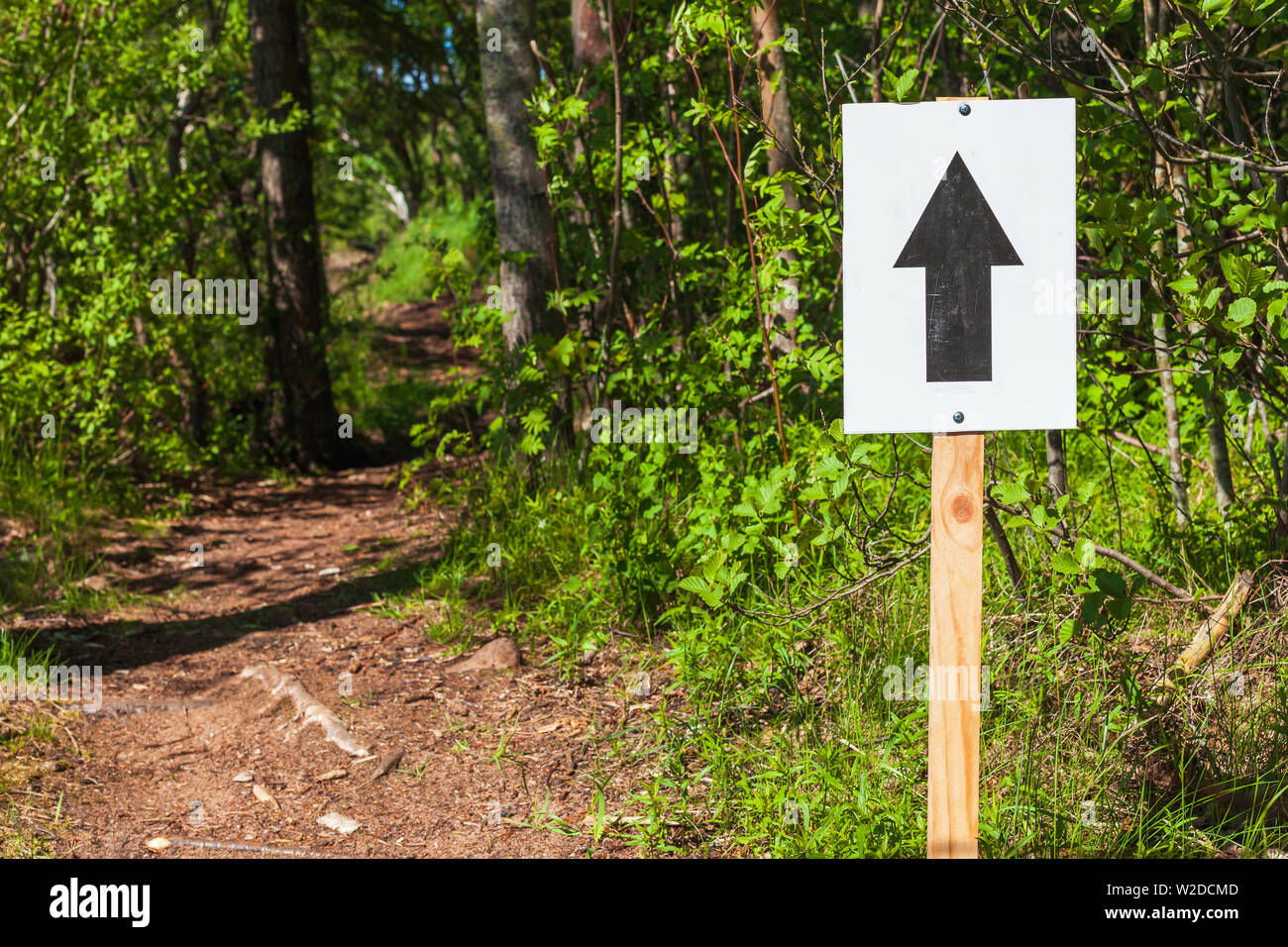 Empty trail hi-res stock photography and images - Alamy