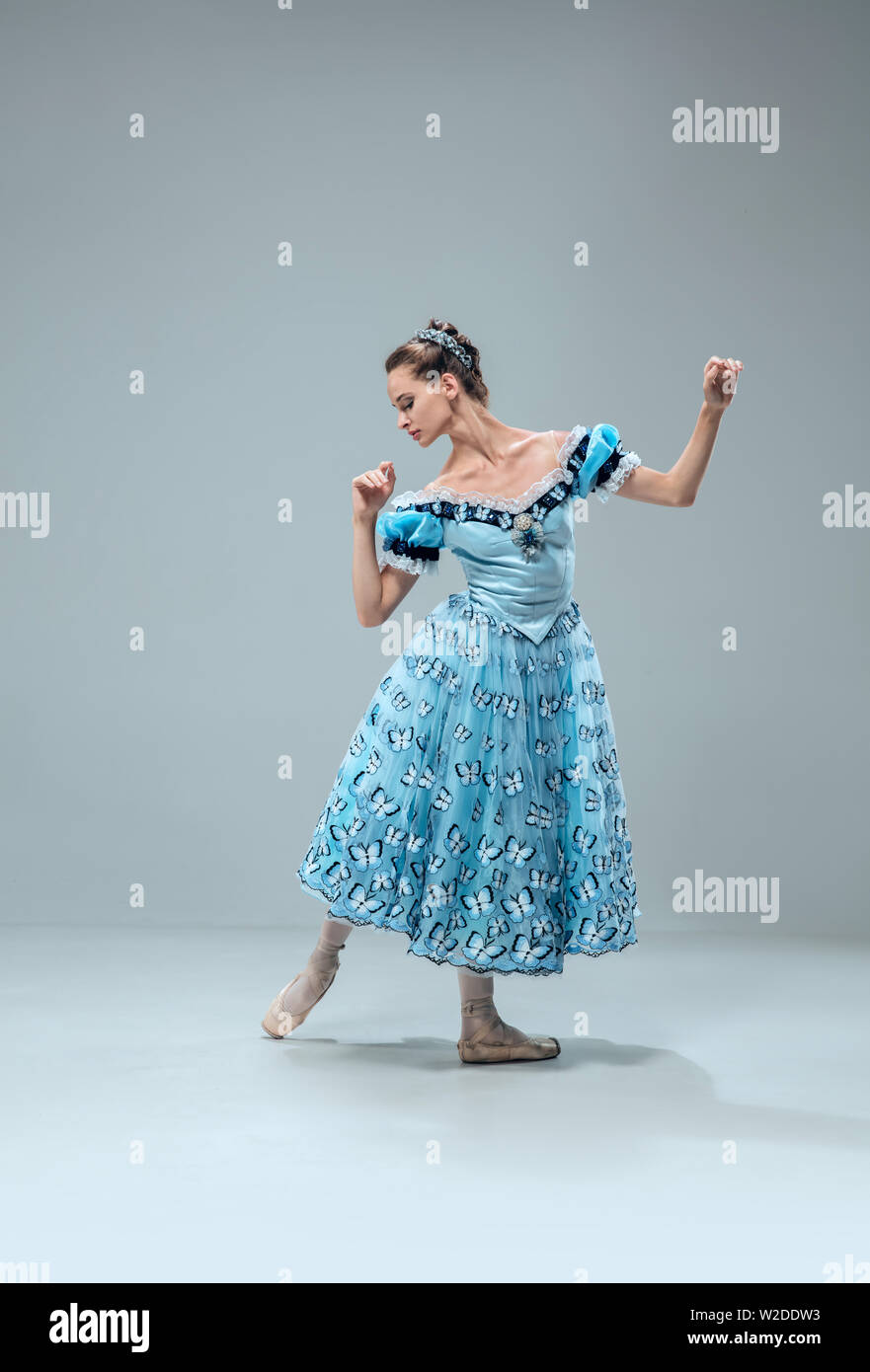 Butterflies. Beautiful contemporary ballroom dancer isolated on grey ...