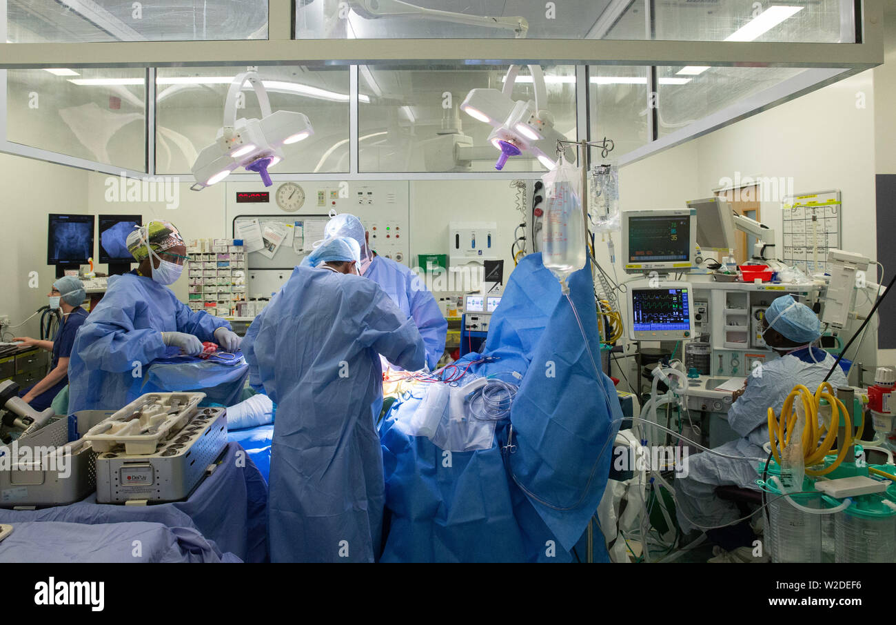 Surgeons and Nurses perform a Hip Replacement operation in an operating ...