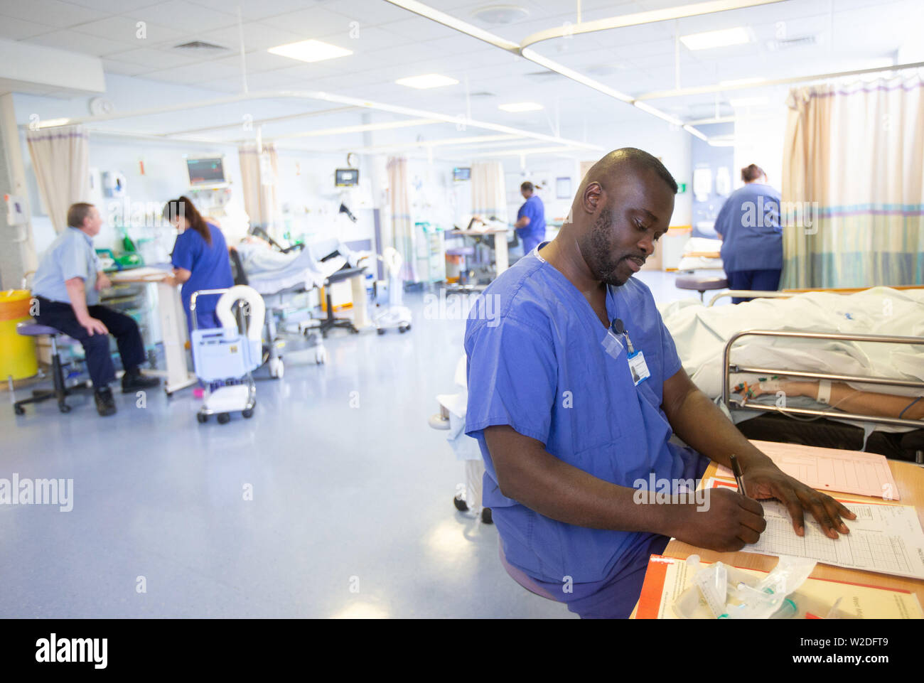 Male NHS nurse at a workstation in a hospital ward dealing with patient ...