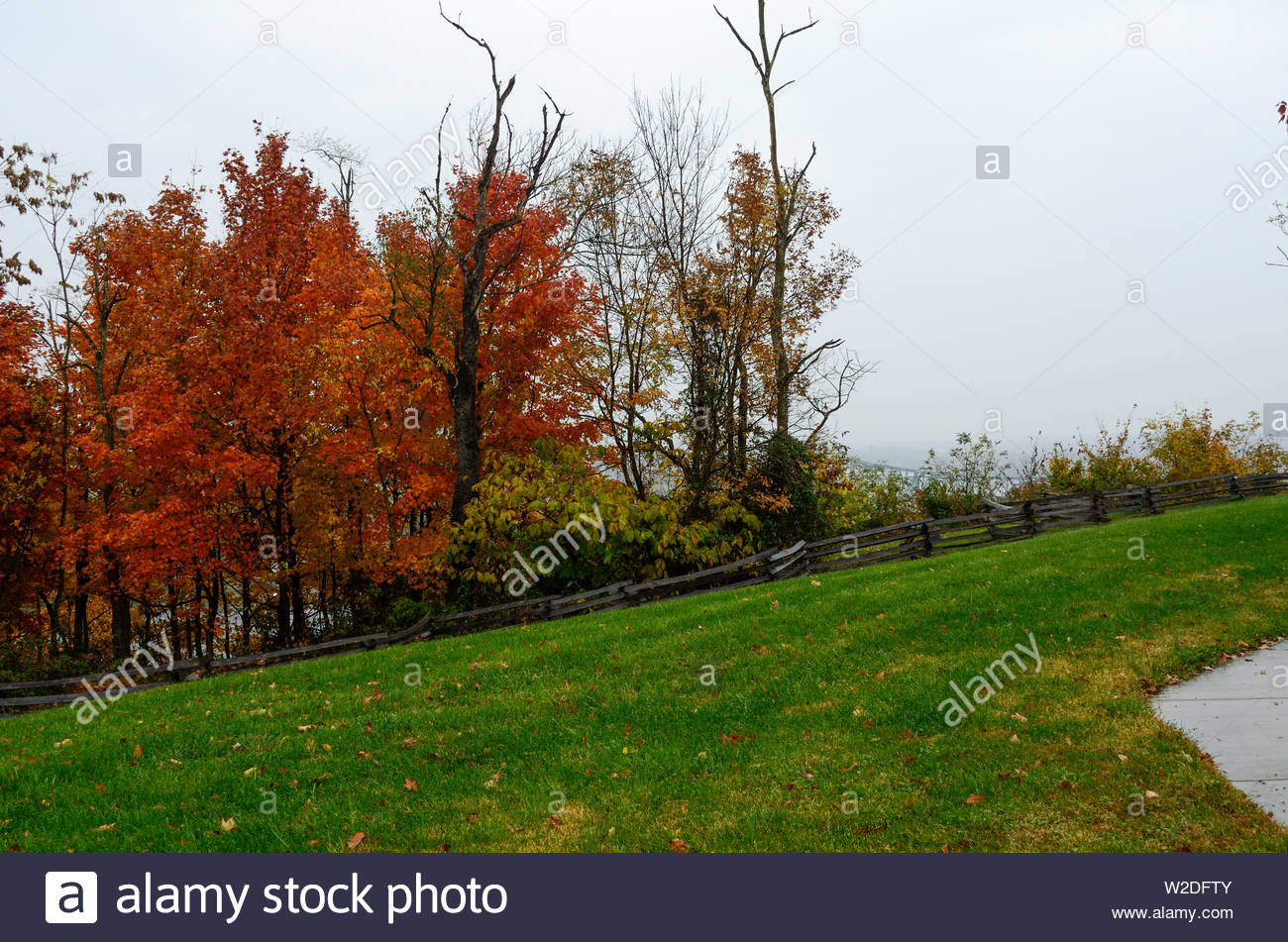 Rain Falling High Resolution Stock Photography and Images - Alamy