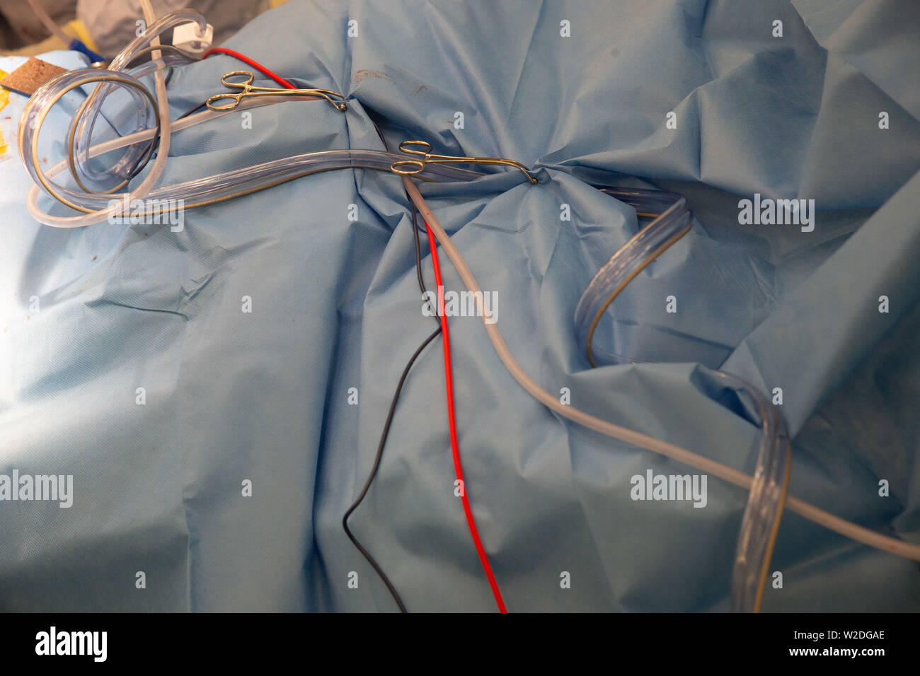 Clamps and tubes on a patient hi-res stock photography and images - Alamy