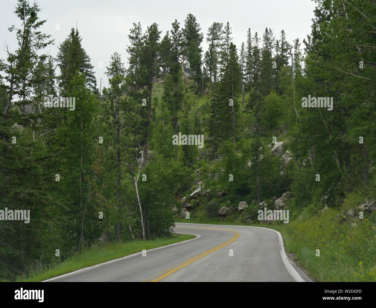 Part of the 14-mile scenic drive along Needles Highway, one of the best ...