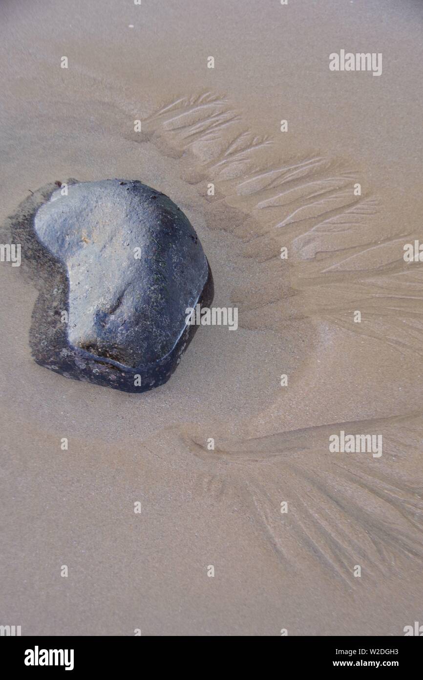 Rounded boulder on a beach hi-res stock photography and images - Alamy
