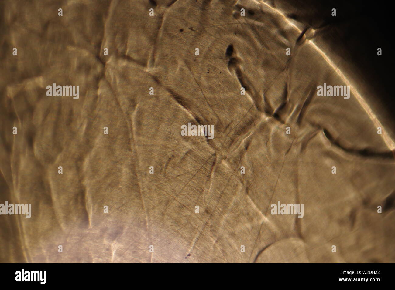 Macro of Hot Oil Convecting in a Stainless Steel Cooking Pot. Scotland ...