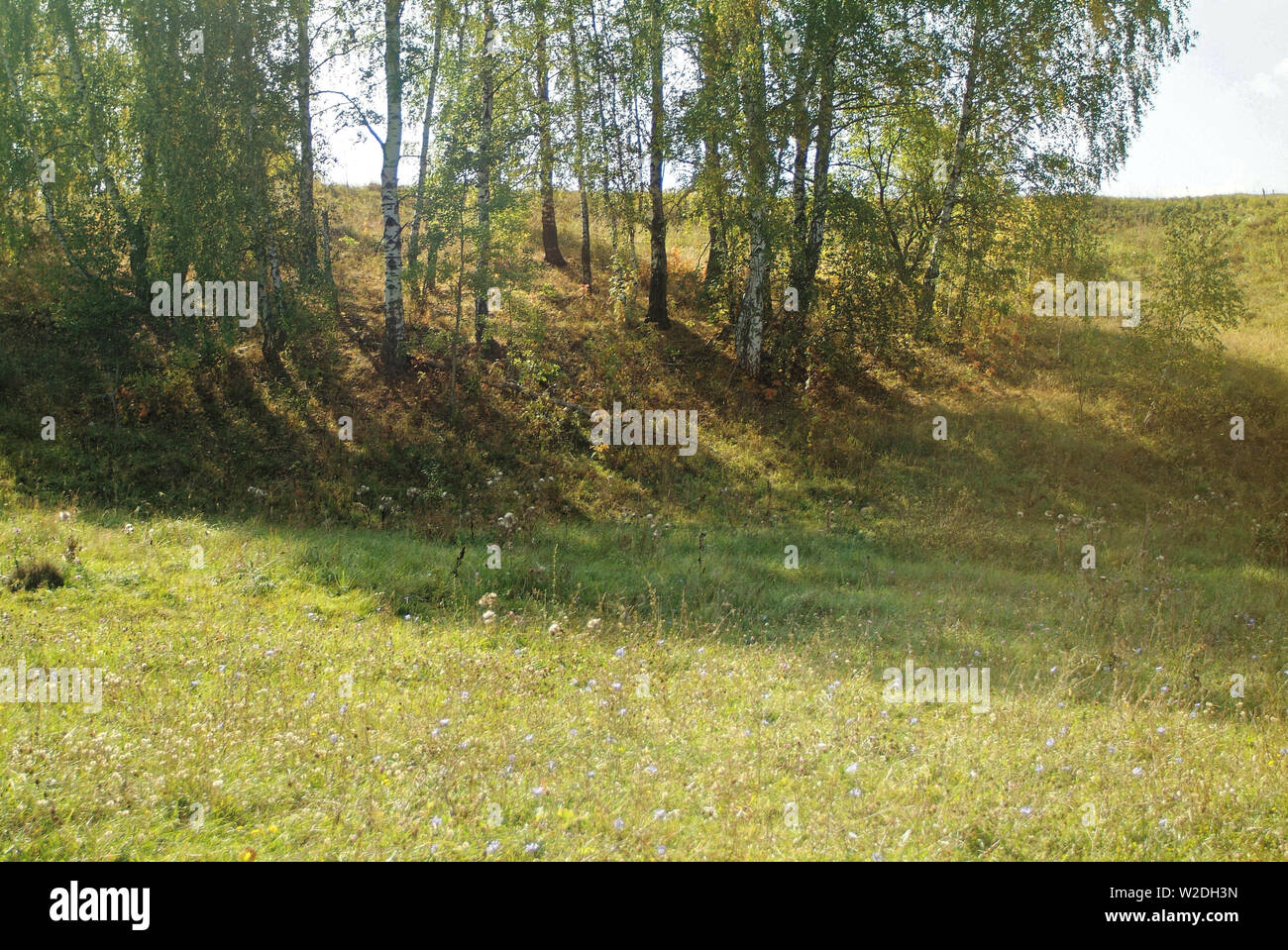 Small ravine hi-res stock photography and images - Alamy