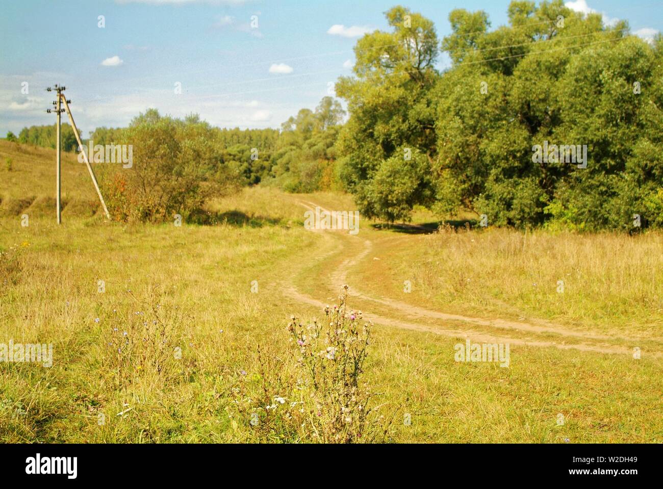 Small meadow in ravine hi-res stock photography and images - Alamy