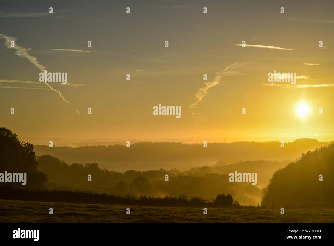 Dawn landscape Somerset Stock Photo - Alamy