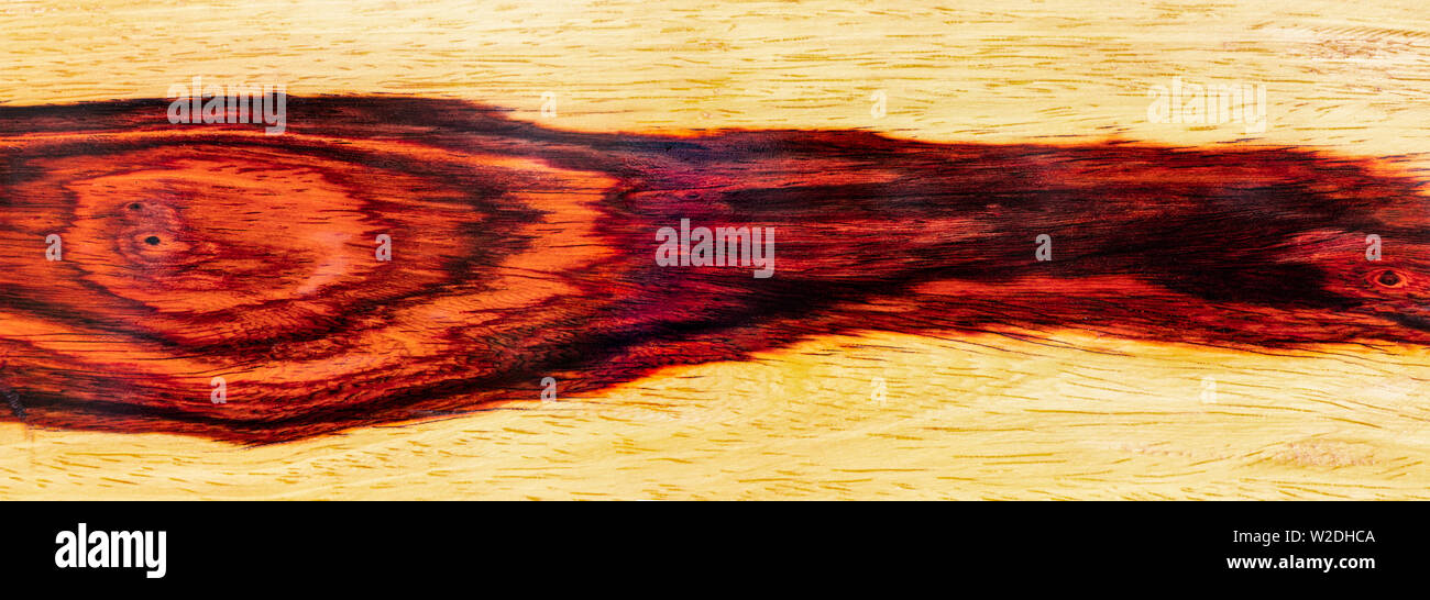 Nature Burmese rosewood Exotic wood For Picture Prints or background ...