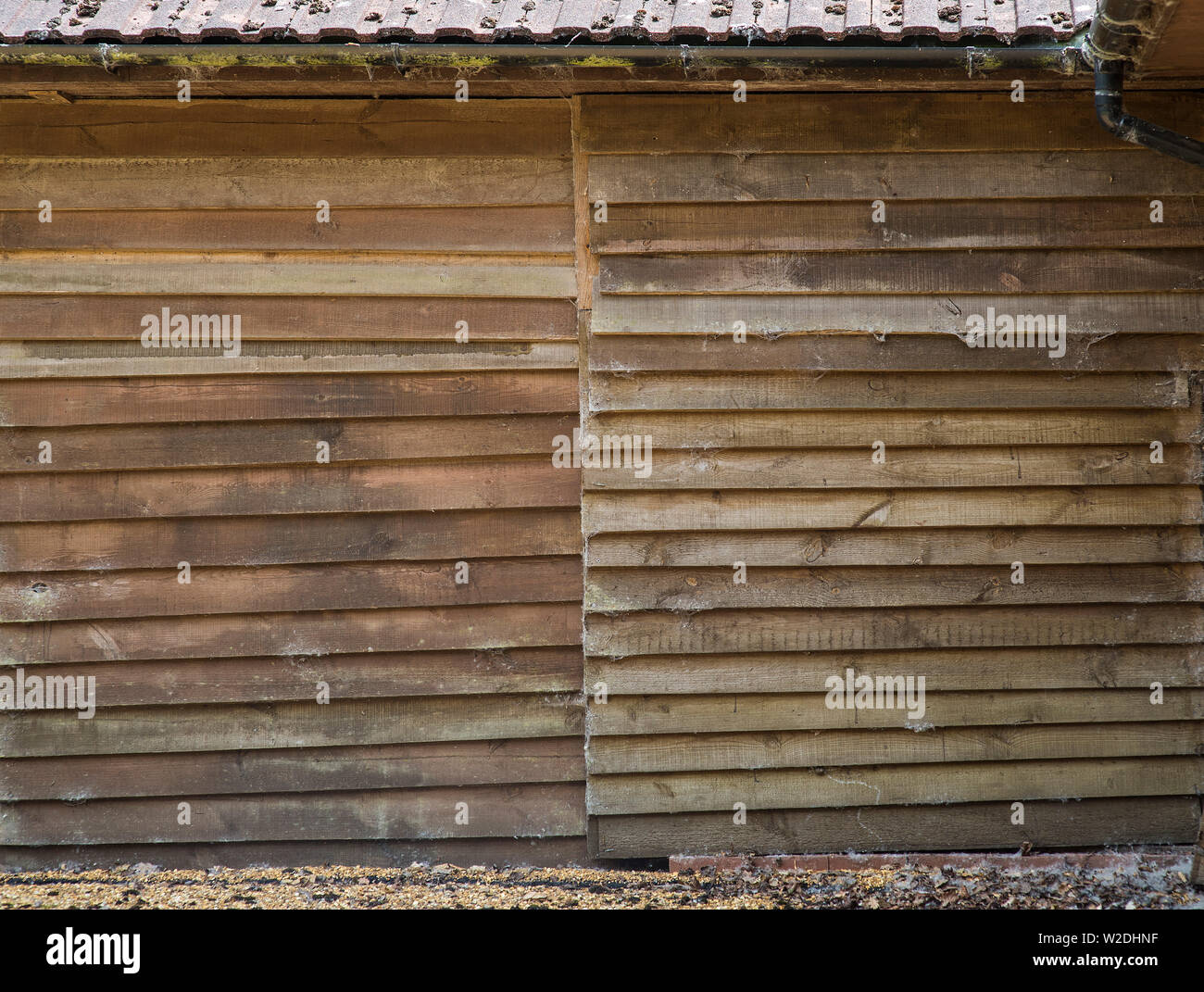Feather edge hi-res stock photography and images - Alamy