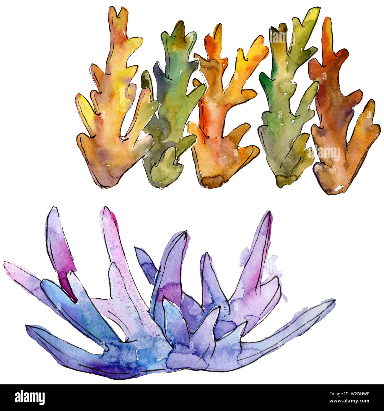 Colorful aquatic underwater nature coral reef. Watercolor background ...