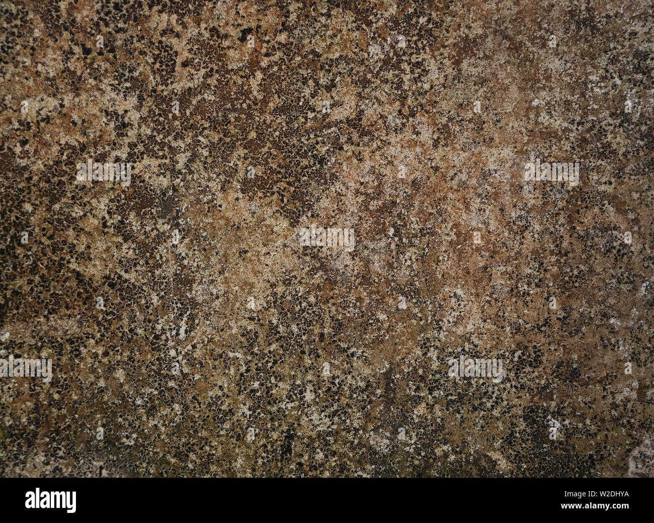 Close up of the mottled, weathered surface pattern of stone Stock Photo ...