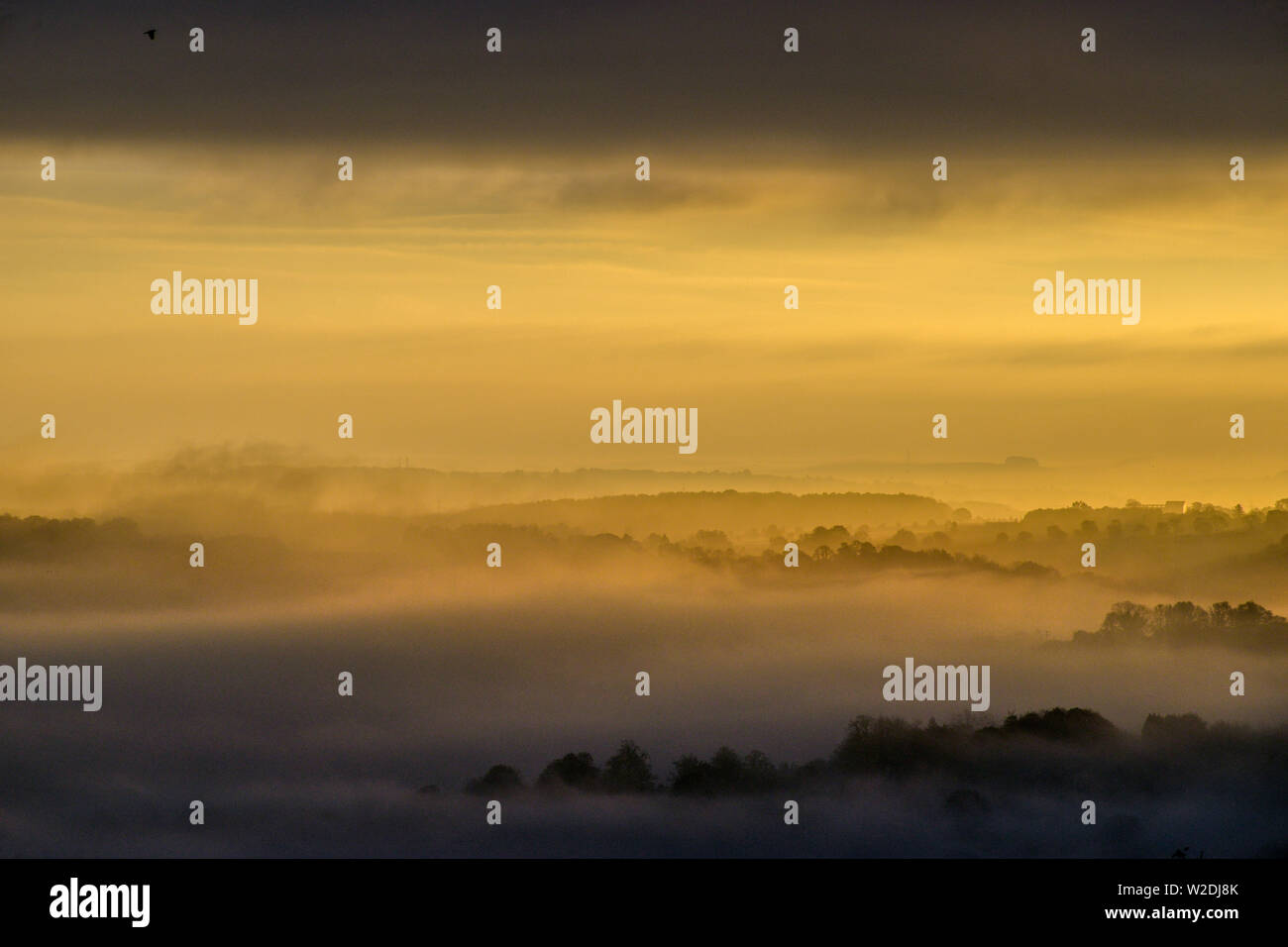Dawn landscape Somerset Stock Photo - Alamy