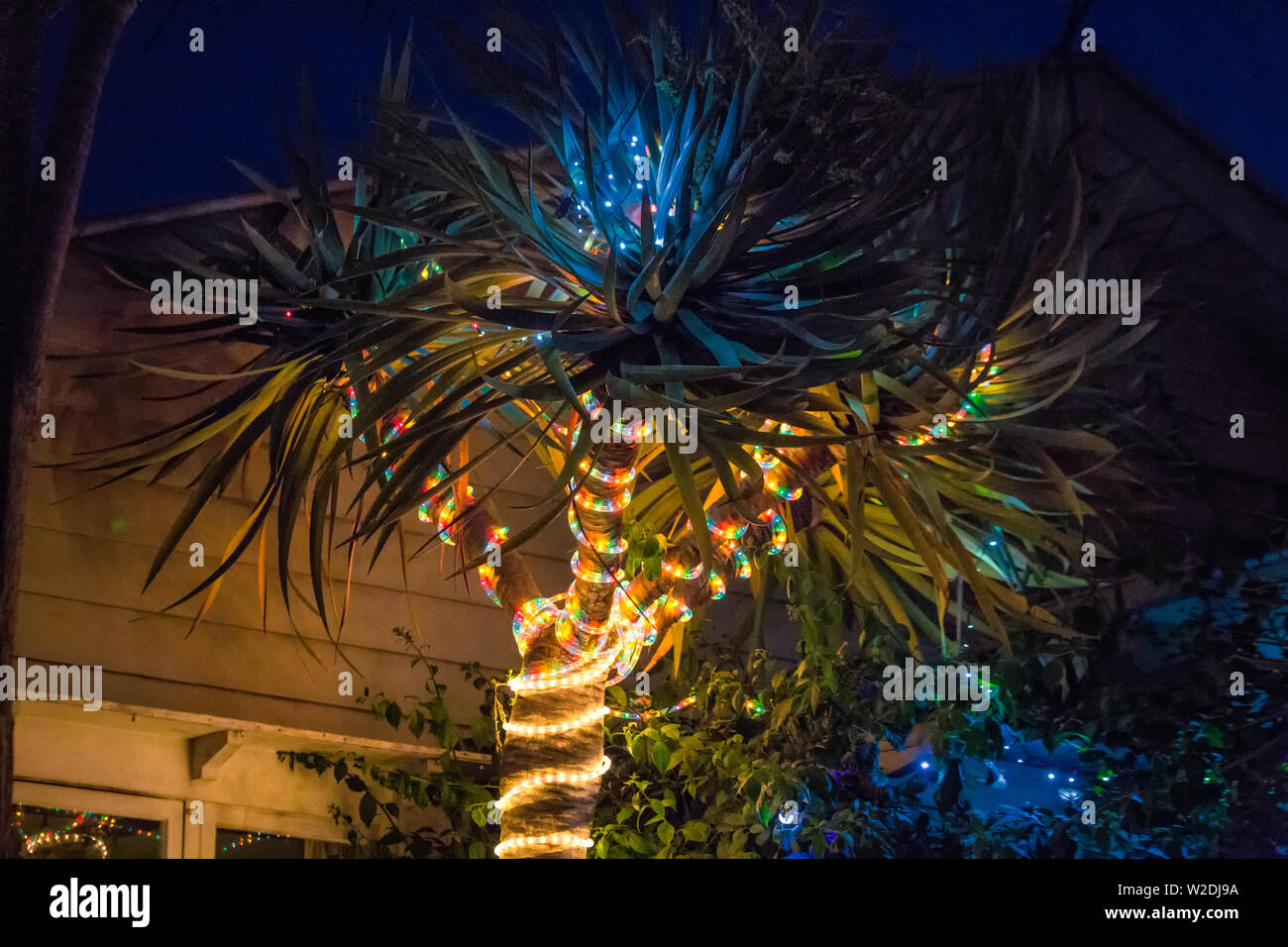 Beautiful outdoor Christmas lights every year decorating houses in ...