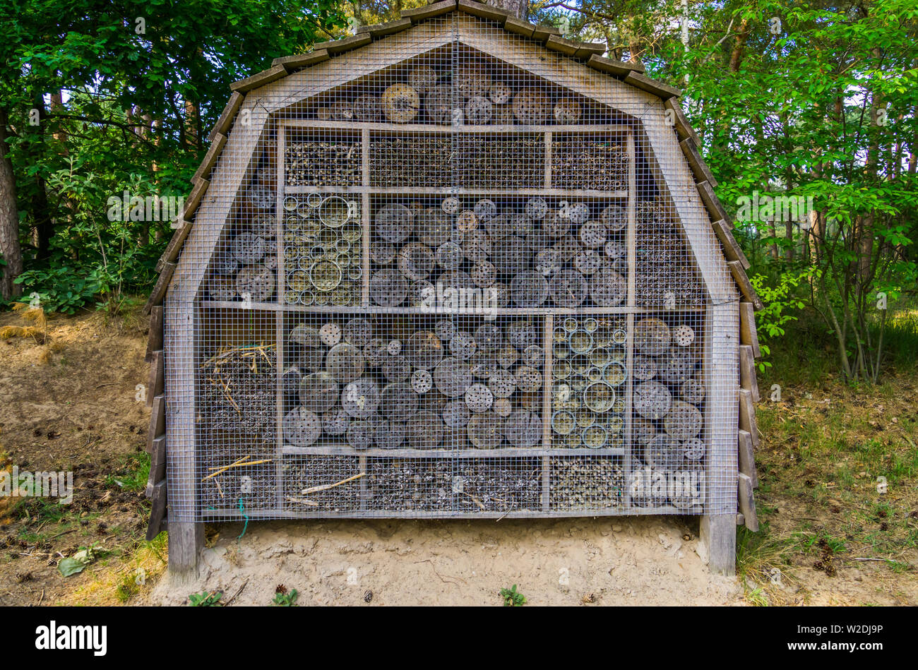 large insect hotel in the forest, shelter for the bees and other ...
