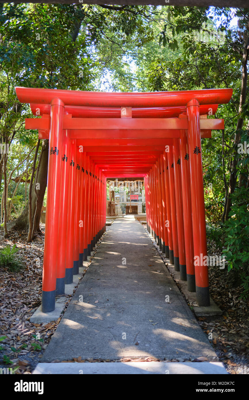 Shinto shrine tori hi-res stock photography and images - Alamy