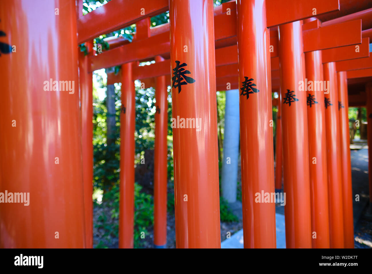 Shiroyama Hachiman Shinto Shrine in Nagoya, Japan Stock Photo - Alamy