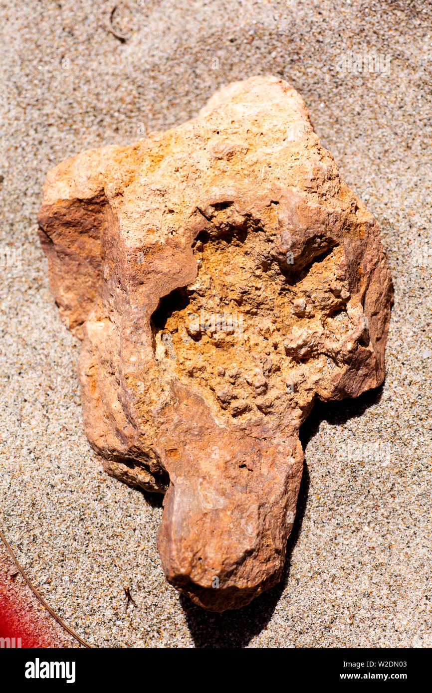 Trippy rock on beach sand macro background high quality prints Stock ...