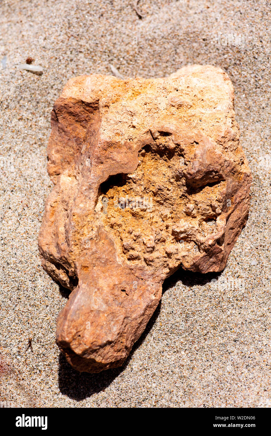 Trippy rock on beach sand macro background high quality prints Stock ...