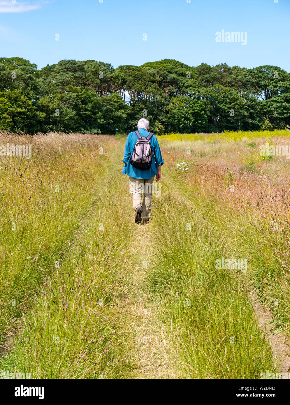 Walking along a country track hi-res stock photography and images - Alamy