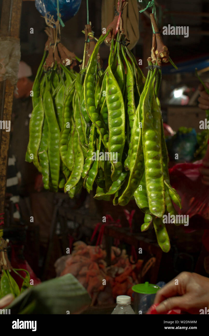The petai or parkia speciosa in traditional market Stock Photo - Alamy
