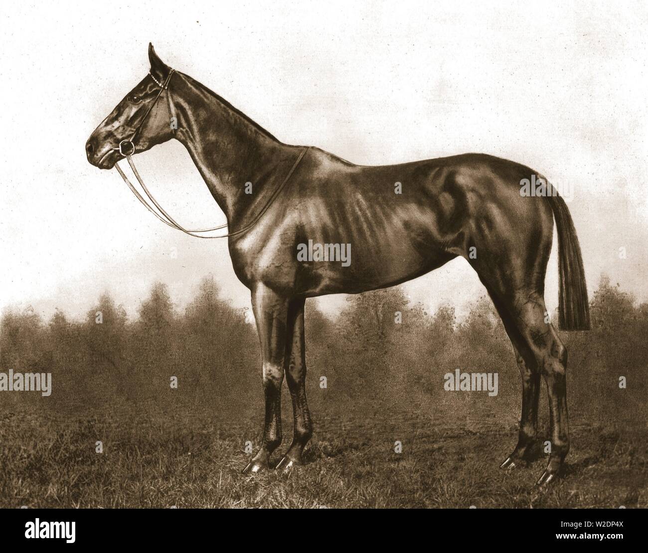 Demure hi-res stock photography and images - Alamy