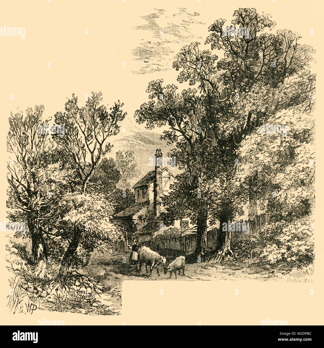 Baron hill house hi-res stock photography and images - Alamy