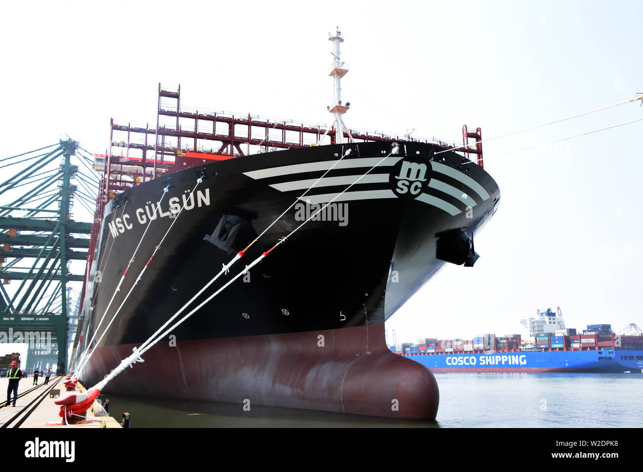 Msc gulsun hi-res stock photography and images - Alamy