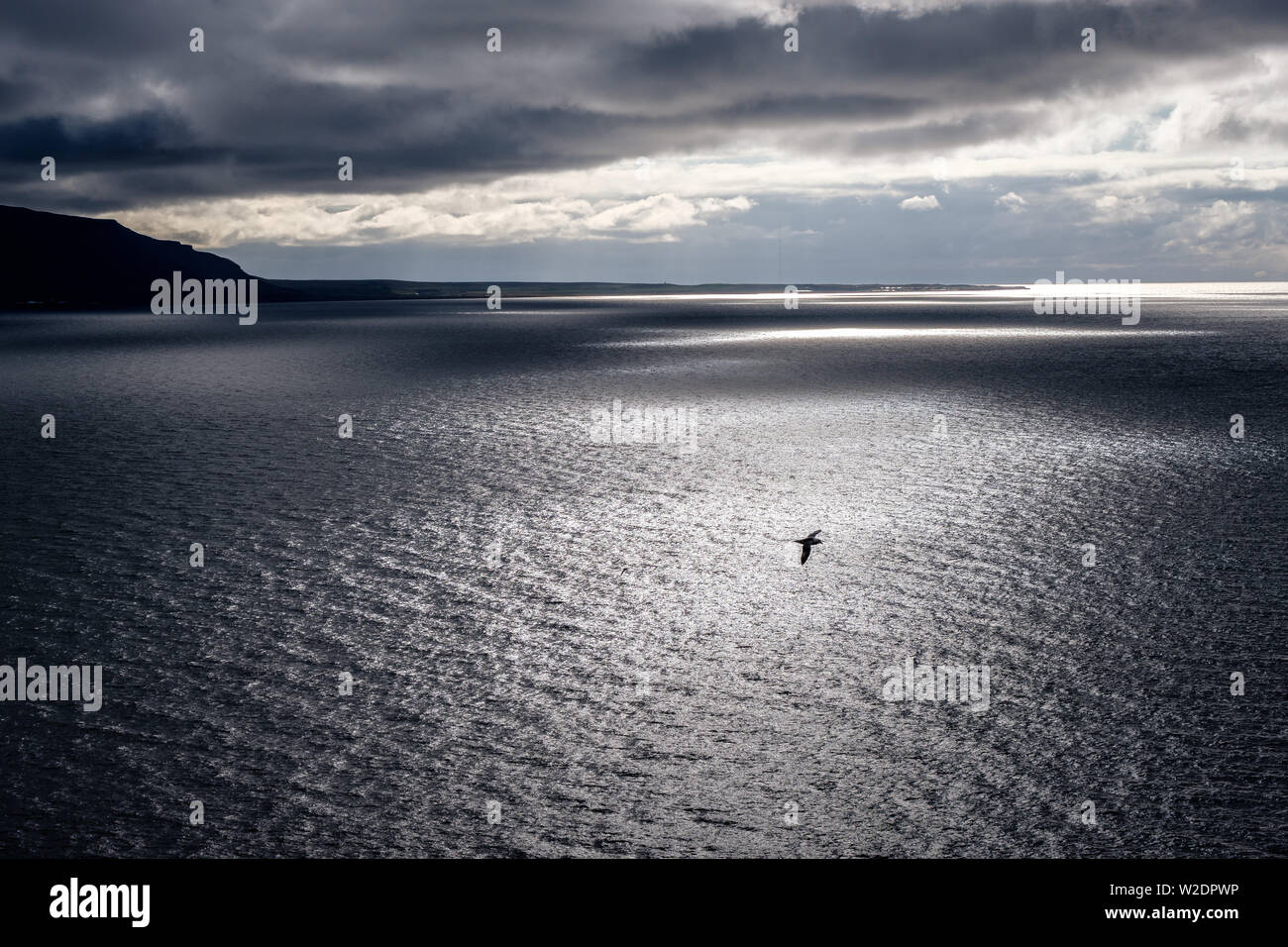 Silver sky hi-res stock photography and images - Alamy